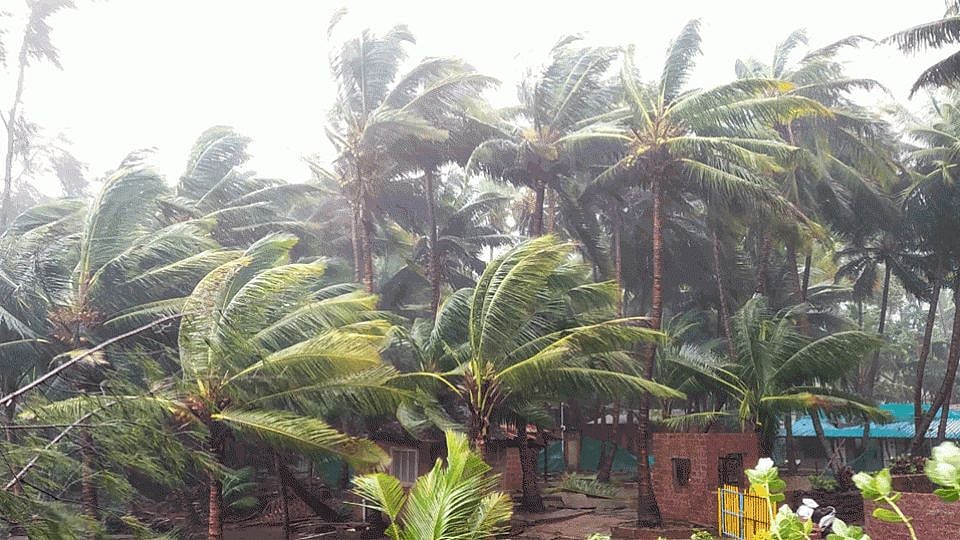 2020 is a year to forget: List of cyclones that hit India this year