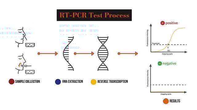 Decoding RT-PCR report and its complicated nomenclature