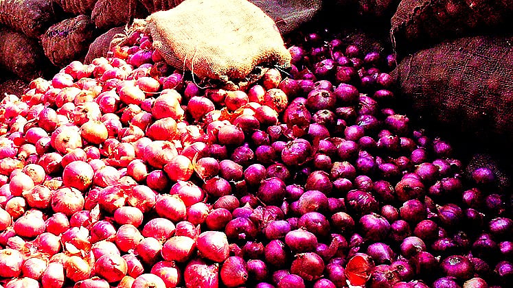 Onion Export Boost: Consumers Brace for Price Hike, Relief for Traders ...
