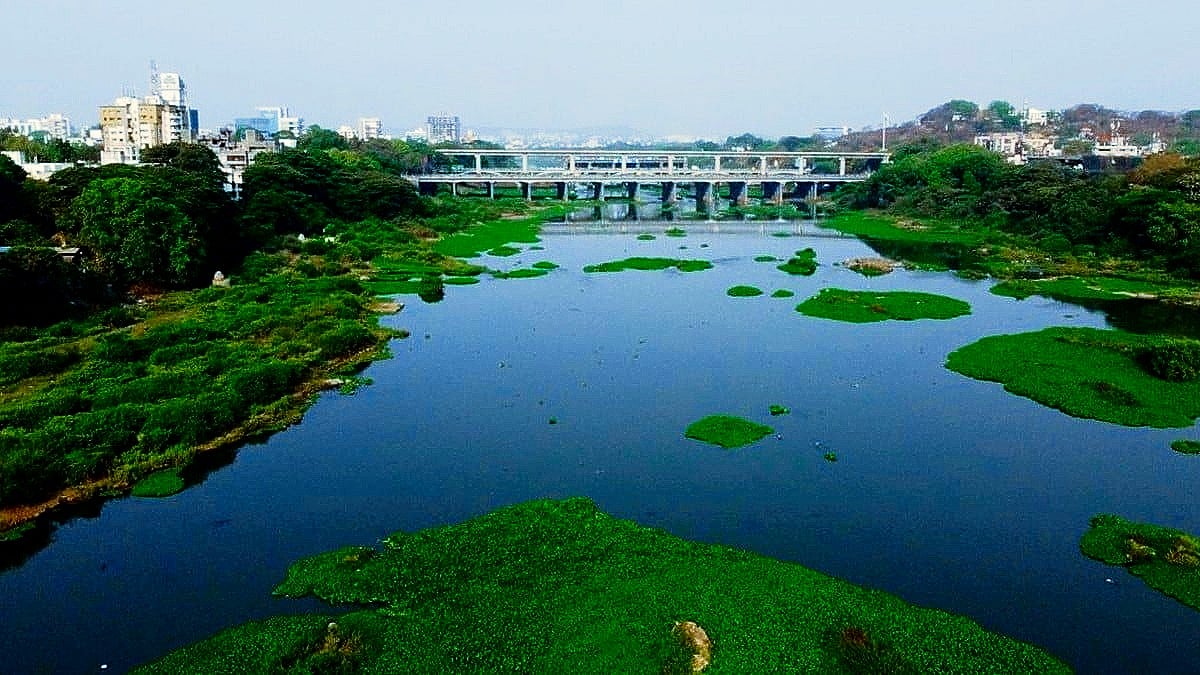 NGT Dismisses Petition, Mula-Mutha Riverfront Development Project Gains ...