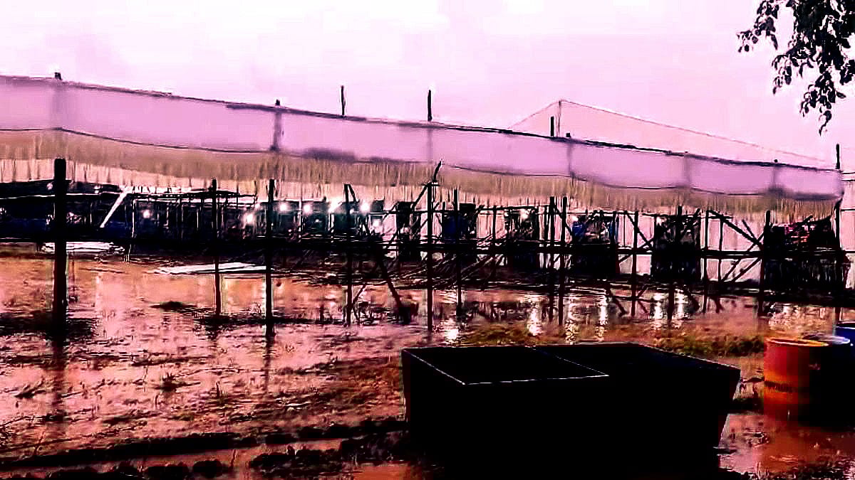 PM Modi Rally in Pune: Muddy Chaos at Venue, Efforts to Drain Water ...