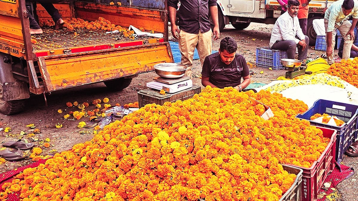 Pune: Flower Market Sees 200 Tons of Marigold Arrivals Ahead of ...