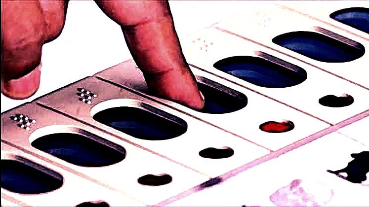 MNS Holds Self-Assessment Meeting; Blames EVM Tampering for Zero Wins ...