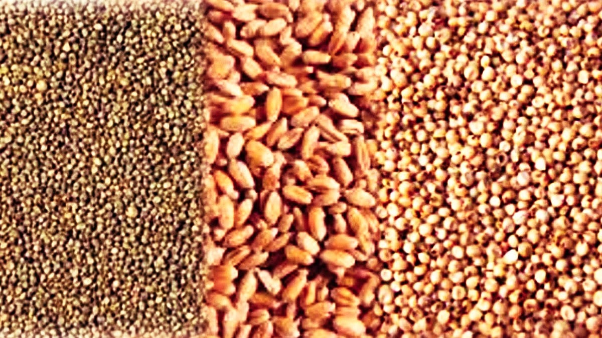 Millet Festival 2025: Direct Sale of Millets and Products to Begin at ...