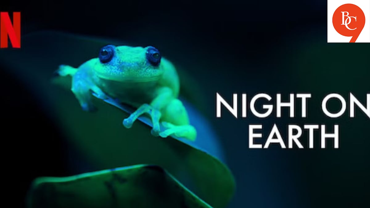 The Best Nature Documentaries for Kids That Are Actually Fun