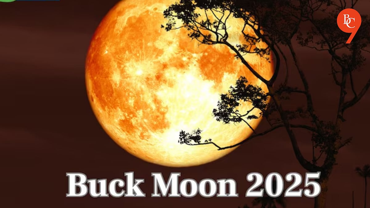 Buck Moon July 2025: Your Sign-by-Sign Horoscope & Full Moon Rituals