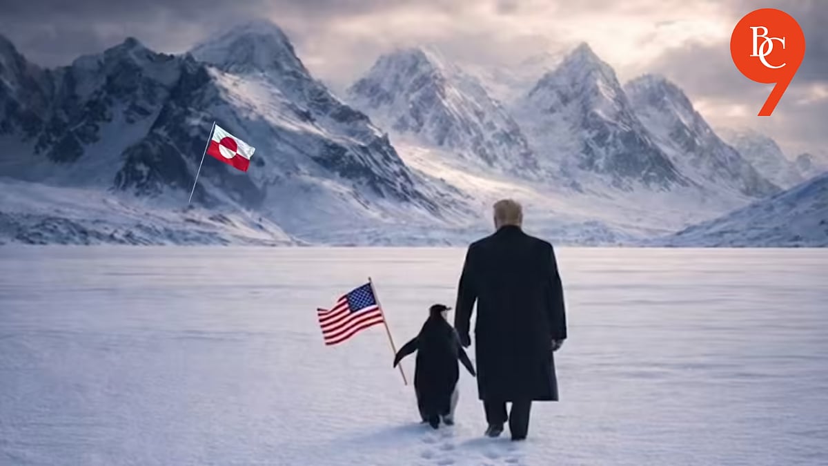 What Is the Viral ‘Nihilist Penguin’ Trend on Social Media That Even ...
