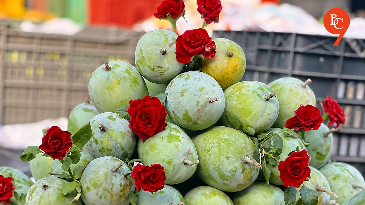 Kesar Mango Fetches Record ₹167 Per Kg at Pune Market Yard | Highest in ...