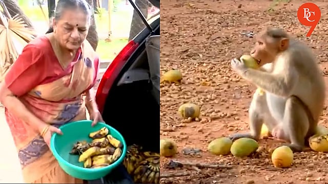 Retired Tamil Nadu Officer Goes Viral for Feeding Hundreds of Monkeys ...