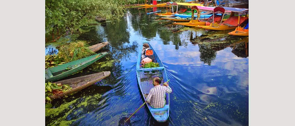 Need seen for ‘global agency’ to help protect dying Dal Lake