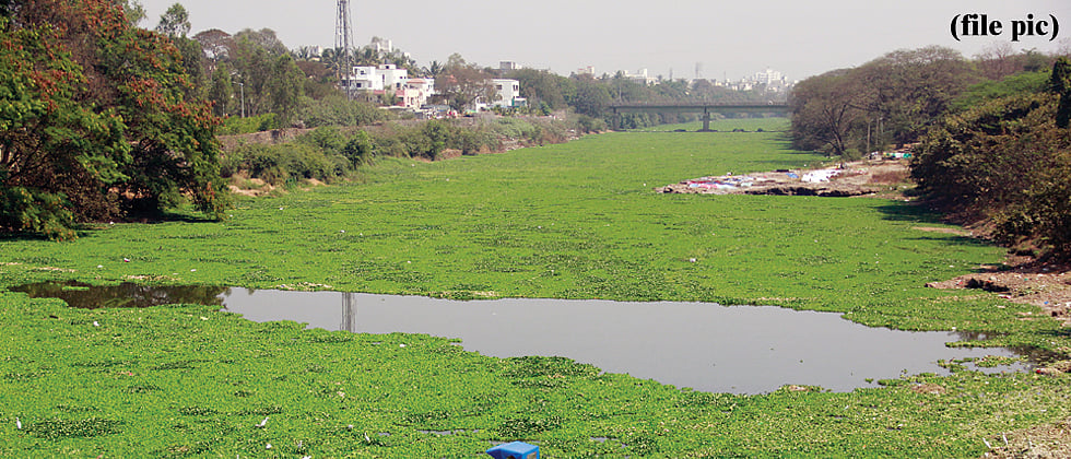 NRCD asks PMC to review tenders under JICA project