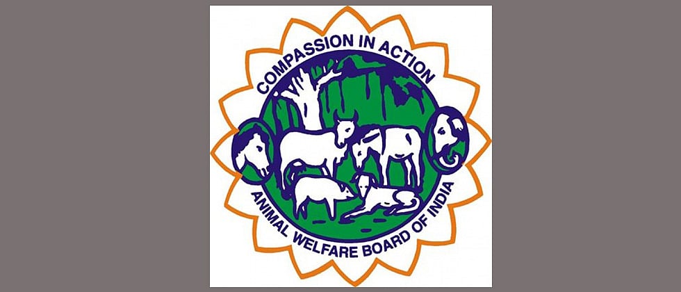 AWBI cancels HAWO ID cards owing to misuse