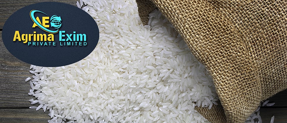 Tech-based firm Agrima Exim helping farmers export their produce, earn more