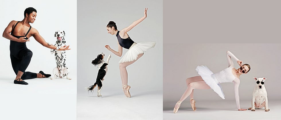 Ballet with dogs