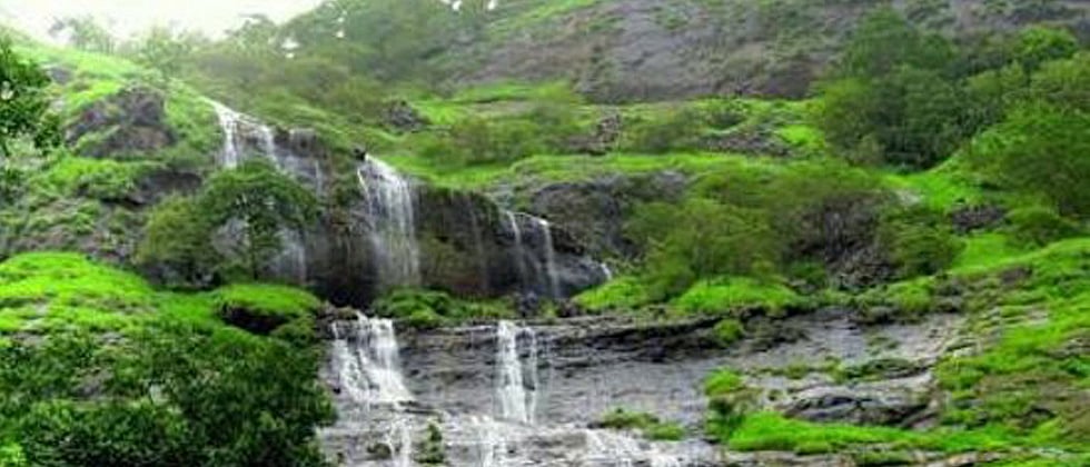 ‘Unregulated tourism destroying biodiversity’