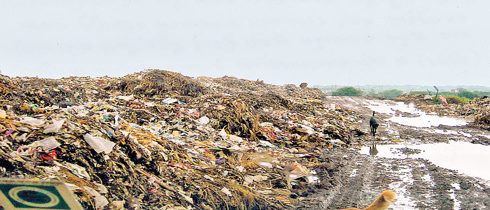 25 pc garbage depot land to be given to original owners
