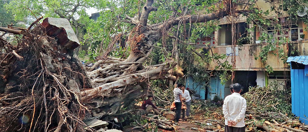 Clogged sewage lines flood Ambil Odha houses again