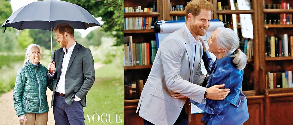 The compassionate prince