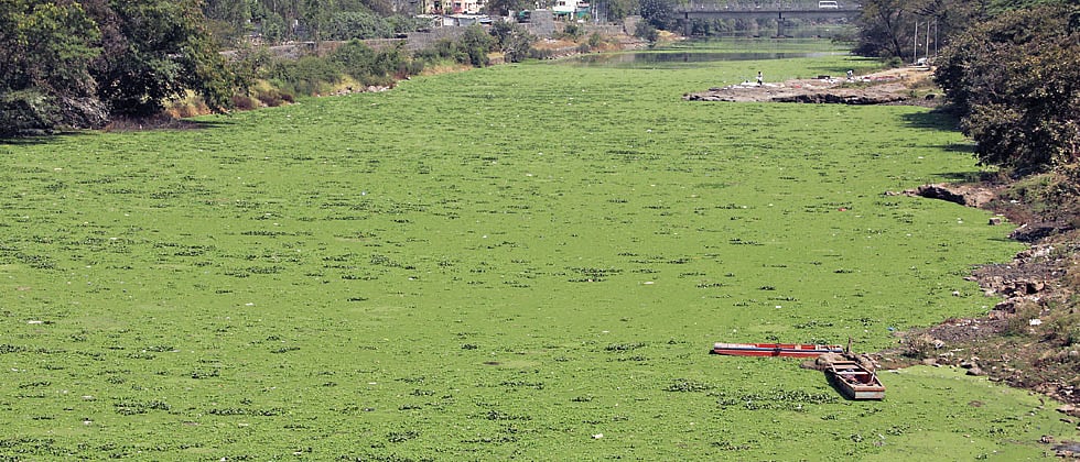 JICA-funded pollution abatement of Mula-Mutha river project still in limbo