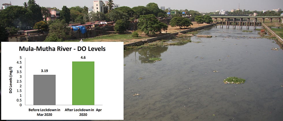 Coronavirus Pune: Lockdown cuts pollution levels of Mula-Mutha to half
