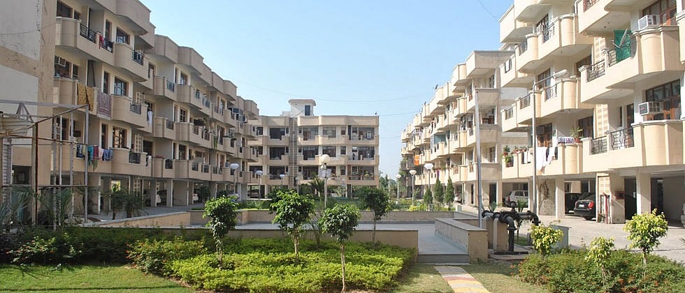 Property cards will be available online now