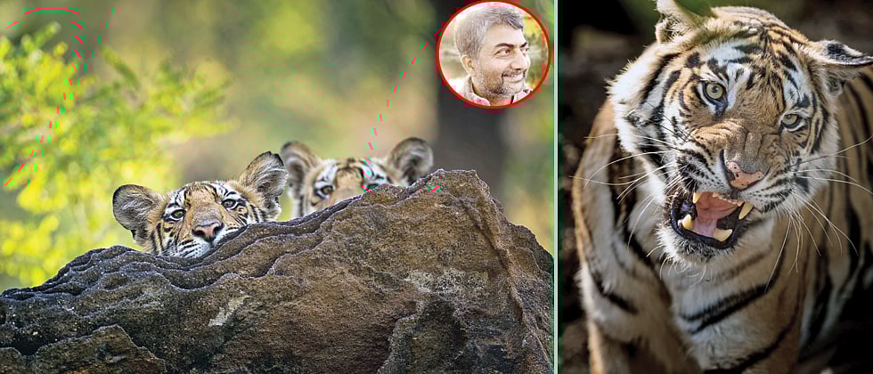 The numbers are growing