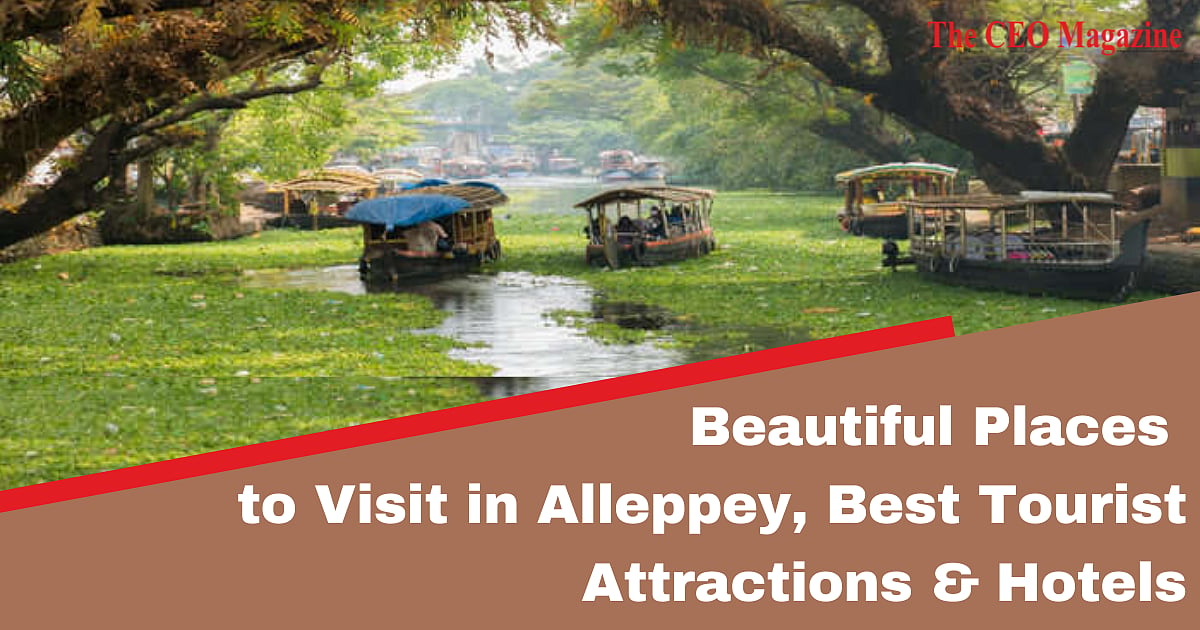 Places to Visit in Alleppey