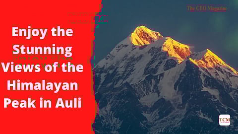 Pilot Baba: Air Force Hero to Spiritual Leader