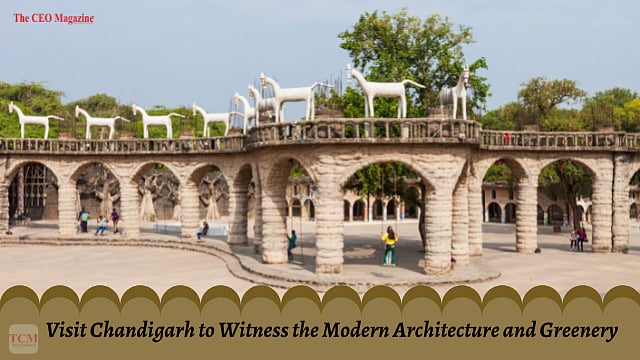 Visit Chandigarh to Witness the Modern Architecture and Greenery