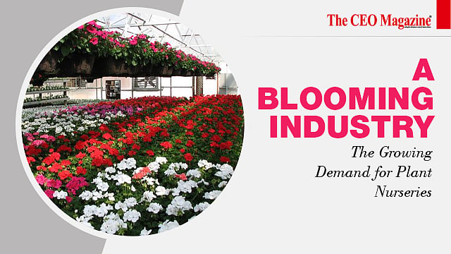 A Blooming Industry: The Growing Demand for Plant Nurseries