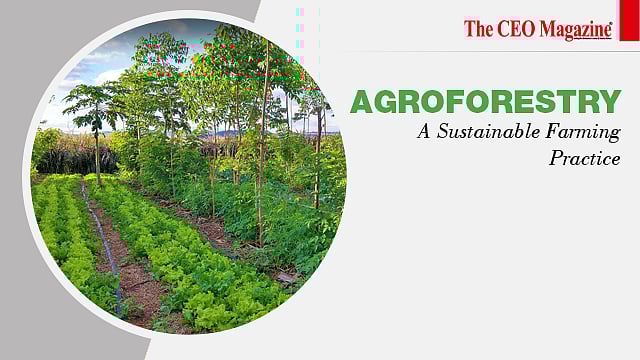 Agroforestry: A Sustainable Farming Practice