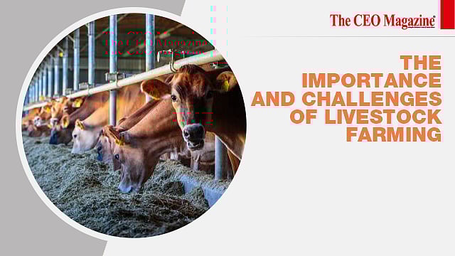 The Importance And Challenges Of Livestock Farming