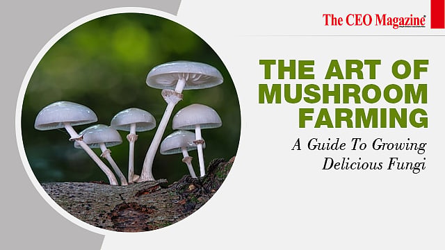 The Art Of Mushroom Farming: A Guide To Growing Delicious Fungi