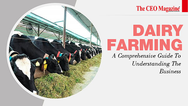Dairy Farming: A Comprehensive Guide To Understanding The Business