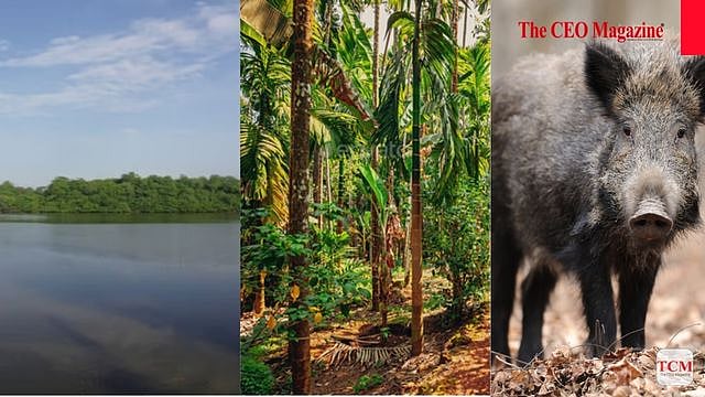 Goa : History and Beauty