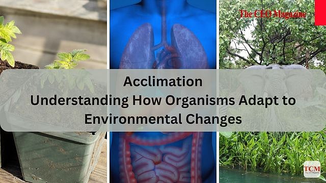 What is Acclimation?