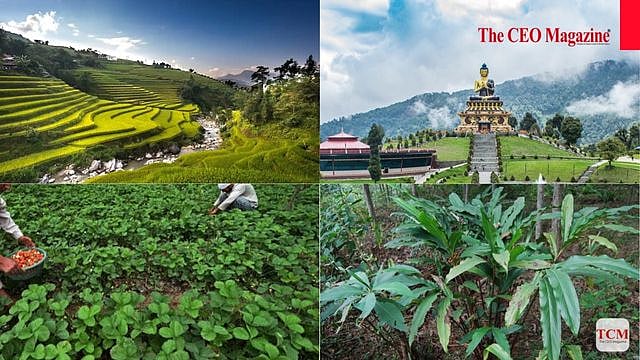 Sikkim: Himalayan Gem of Culture