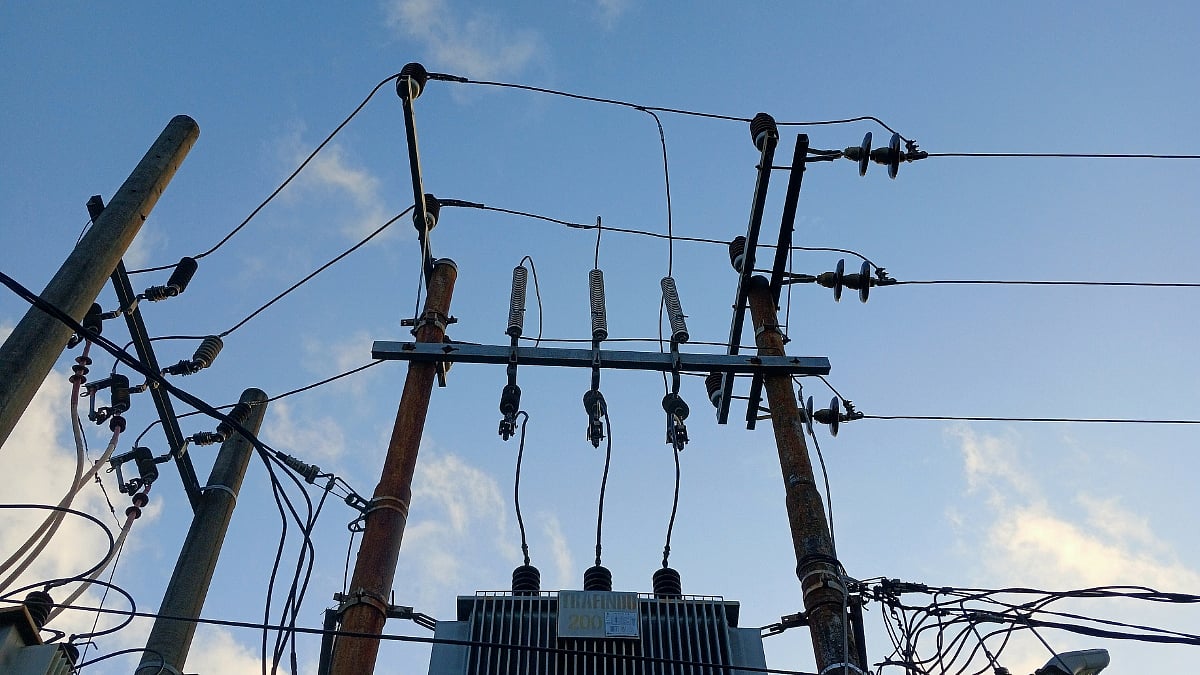 Standard vs Customized Transformers: Which to Choose