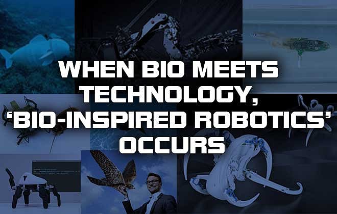 When bio meets technology, ‘Bio-Inspired Robotics’ occurs