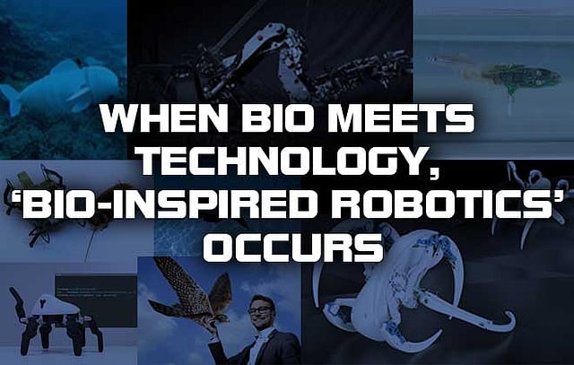 When bio meets technology, ‘Bio-Inspired Robotics’ occurs
