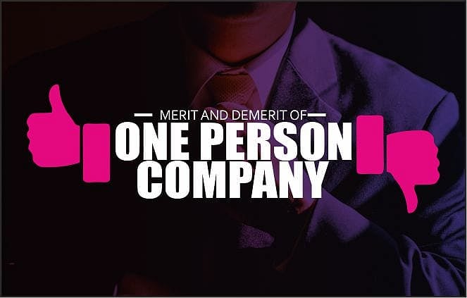 Merit and Demerit of One Person Company