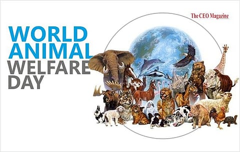 Importance of World Animal Welfare Day