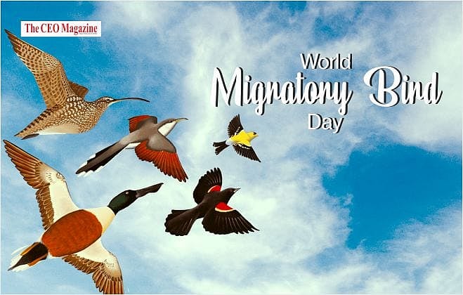 World Migratory Bird Day- Protect Birds and Be the Solution