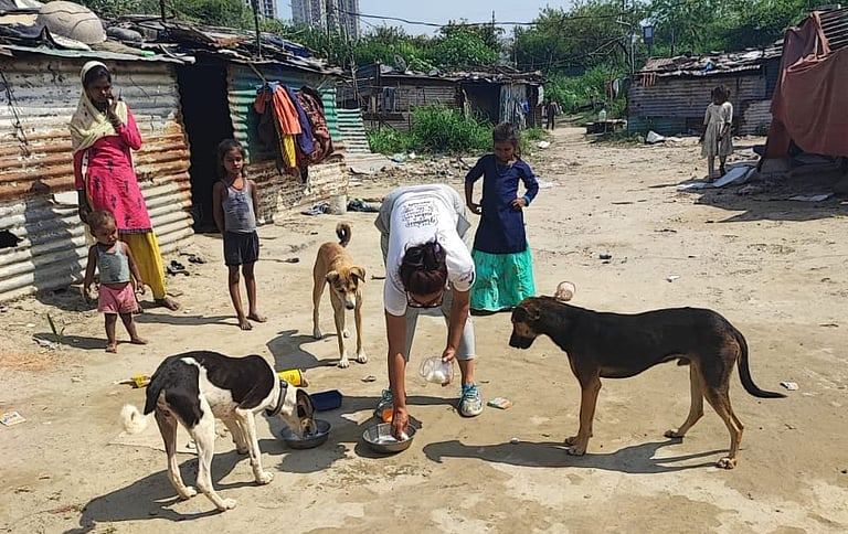 A woman's journey to save India's native dog breed