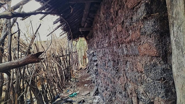 Ground Report: Unveiling the Plight of Tribes in Madhya Pradesh