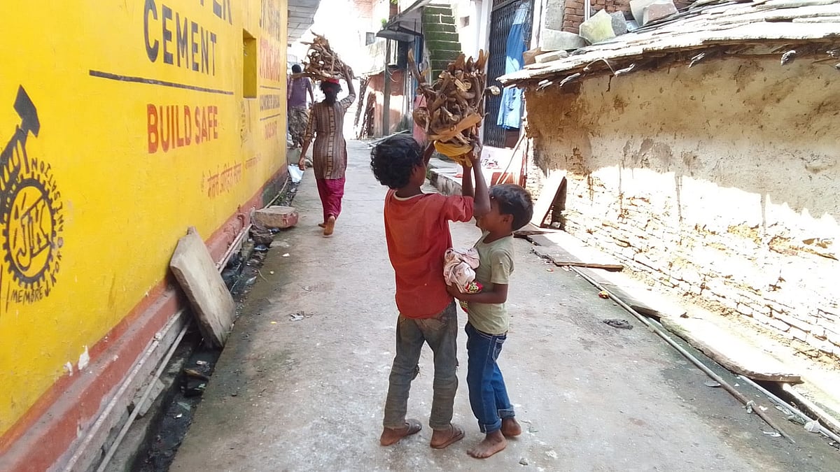 Ground Report: Childhood Burdened by Firewood as Panna’s Tribal ...