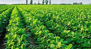 India's Agriculture Gets a Boost with New National Code