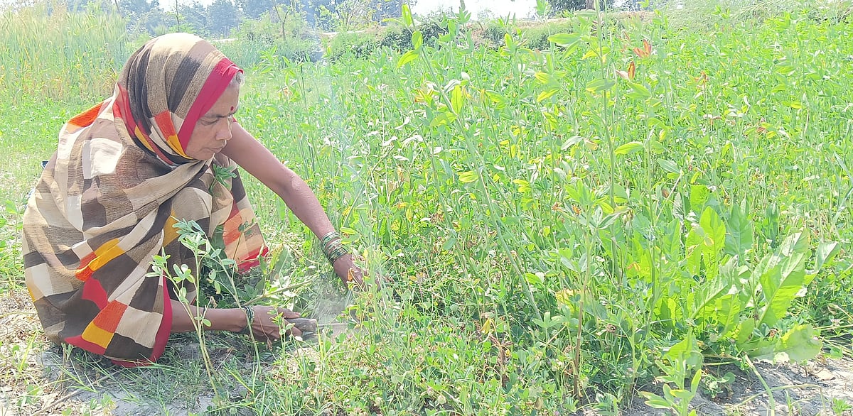 The story of the struggles of a woman farmer handling home, family and farming