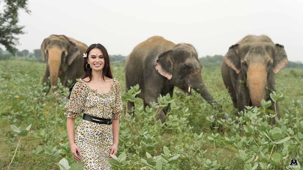 Miss Universe Great Britain 2024 Christina Chalk Visits Elephant ...