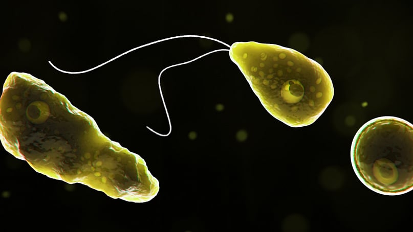 Primary amoebic meningoencephalitis kills 39 year old woman in Kerala's ...